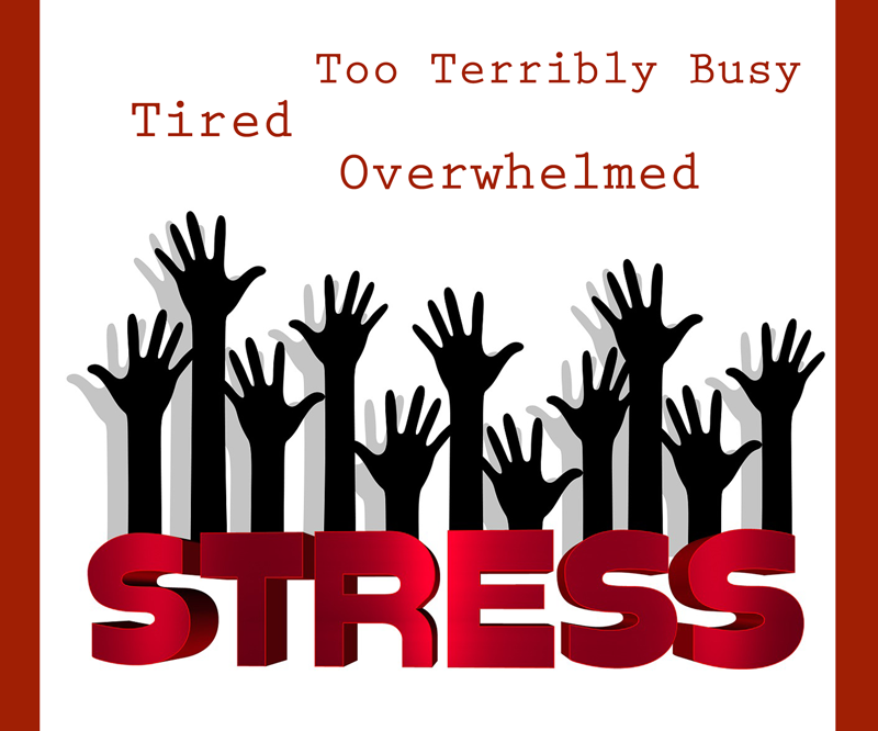 Overwhelmed? 7 Things You can do to Calm Down - Elana B.